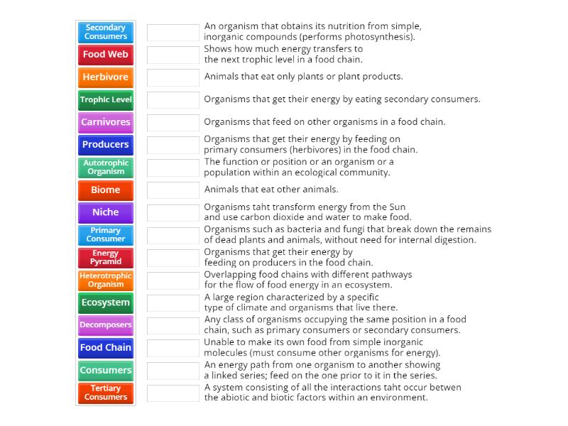 Energy Flow Vocabulary - Matching - Match up