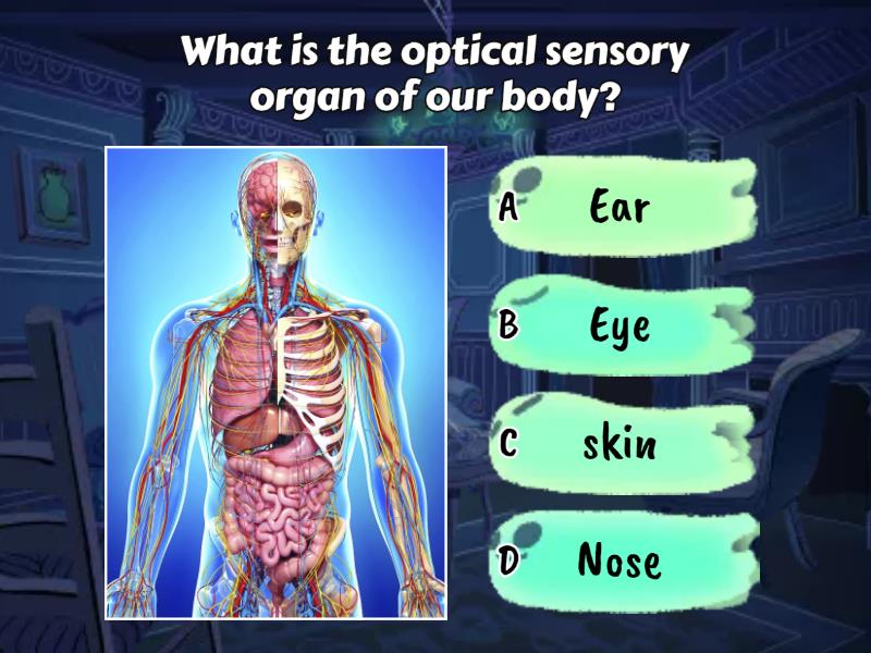 Structure of human eye grade 9E-Dilini - Quiz