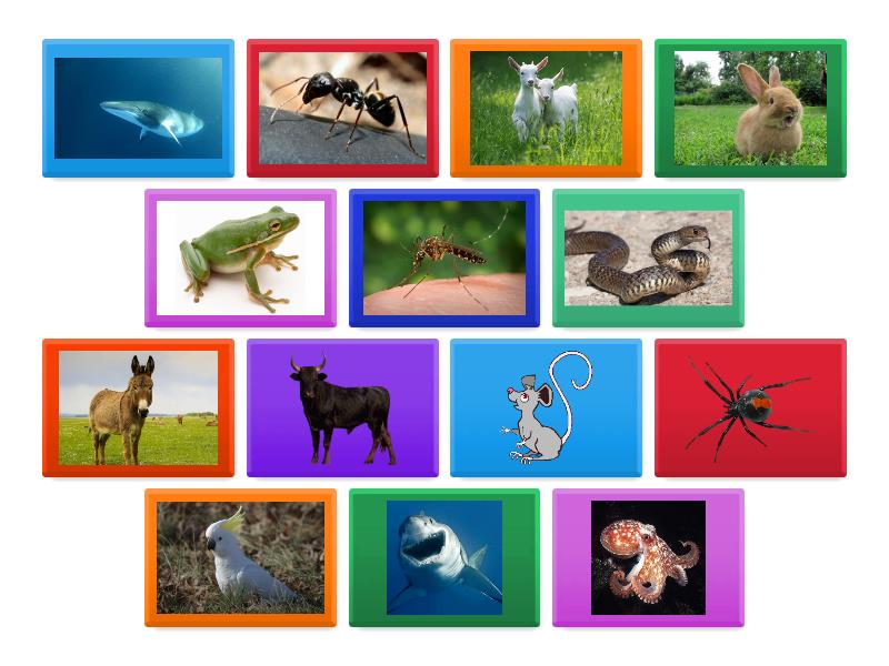 animals - Flip tiles