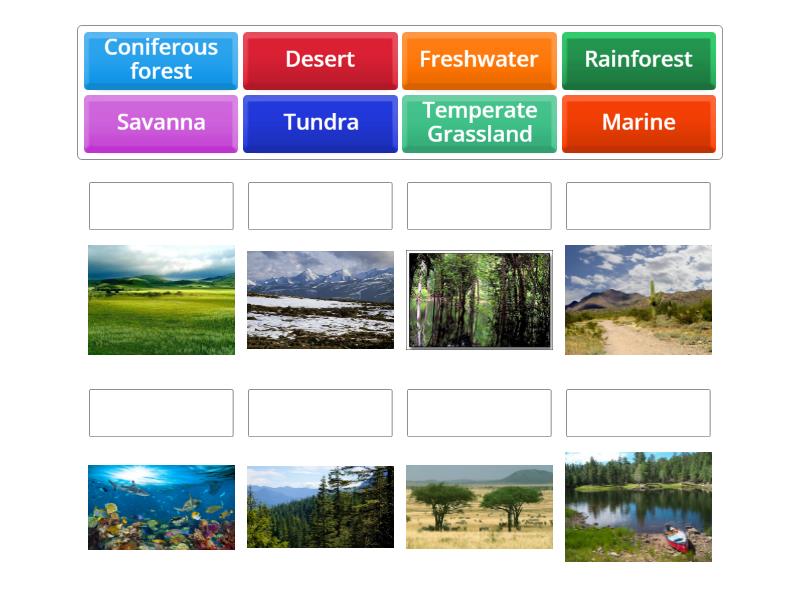 Natural Ecosystems Quiz - Match up