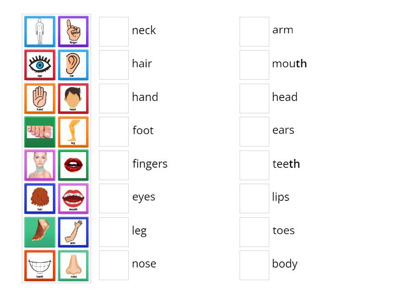 Body Parts - Match up