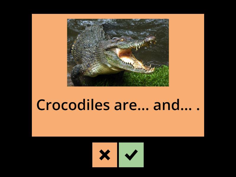 Gg animals adjectives - Flash cards