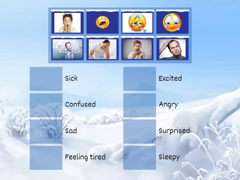 Feelings and emotions - Match up