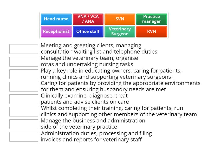 VNSA1-1.1-3 Roles and responsibilities of the veterinary team - Match up