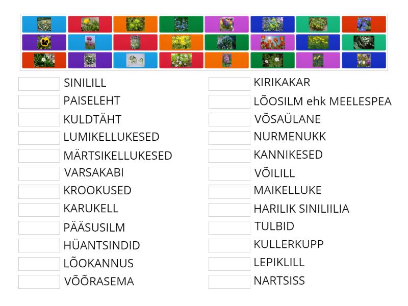 Kevade tunnused - taimed - Match up