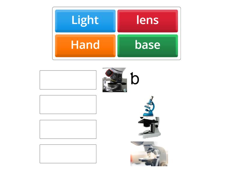 Microscope game - Match up