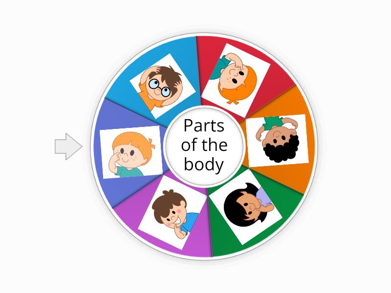 parts of the body - Spin the wheel