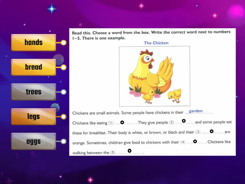 Starter/ READING (chicken) - Labelled diagram