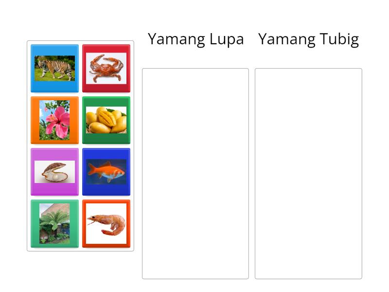 Yamang Lupa o Yamang Tubig ? - Categorize