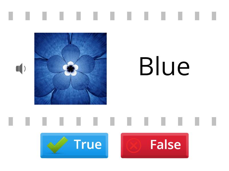 L1 Colours - True or false