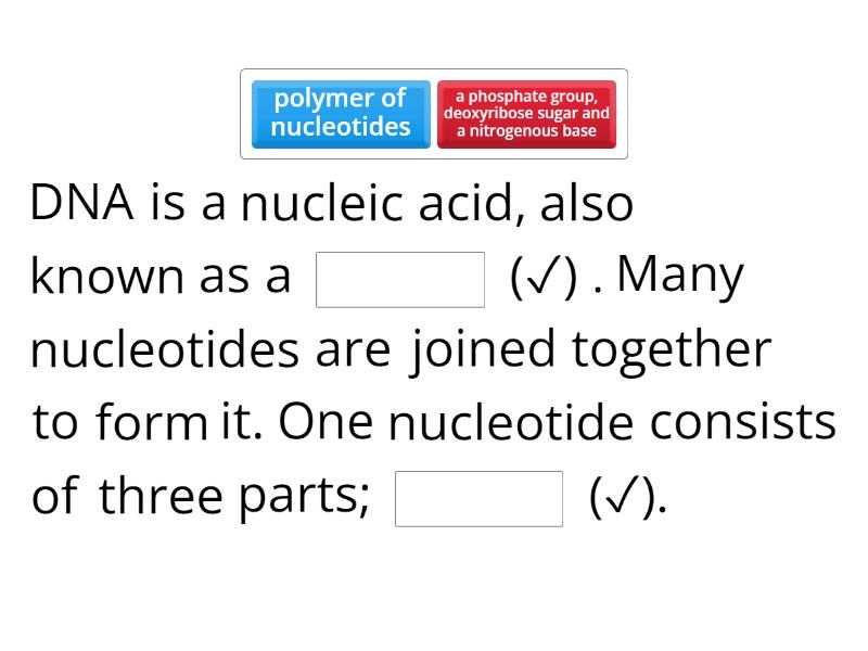 A1.2.6 DNA Structure - Complete the sentence