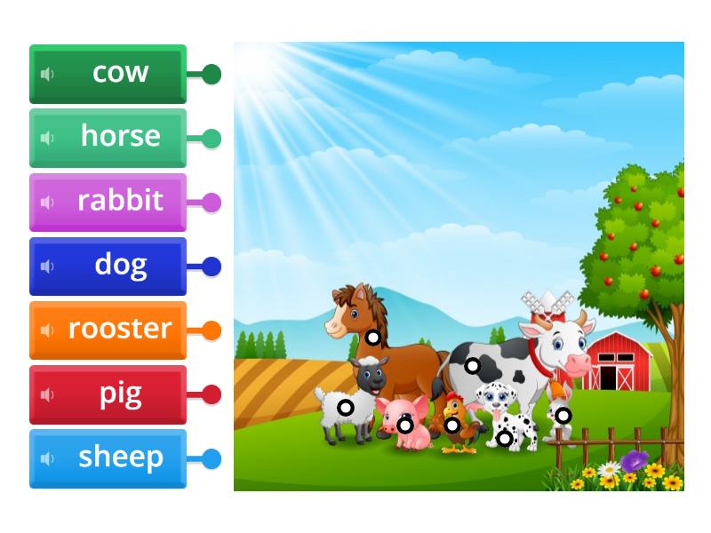 the Farm Animals - Labelled diagram
