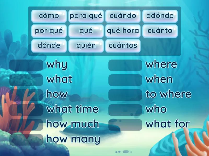 Palabras de preguntas - Question words - Match up