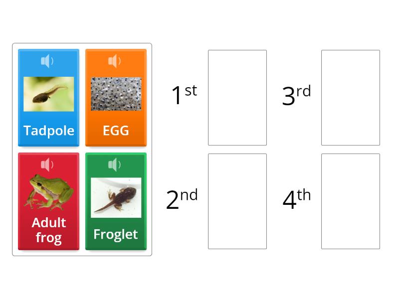 CLASS 5 UNIT 2 Life Cycle of Frog - Rank order