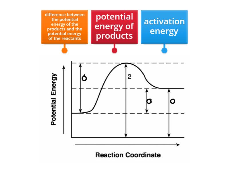 PE diagram #3 - Labelled diagram