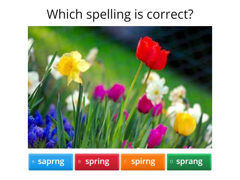 ESOL Entry 1 Weather Seasons and Months Quiz - Cuestionario