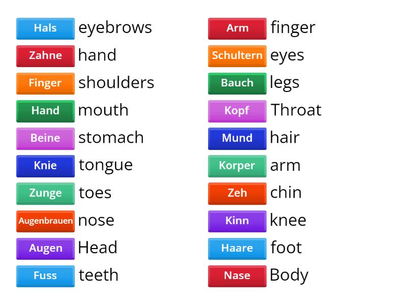 Body parts matching - Unscramble