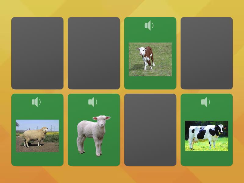 PAREJAS: ANIMAL DE LA GRANJA Y SU CRIAS. - Matching pairs