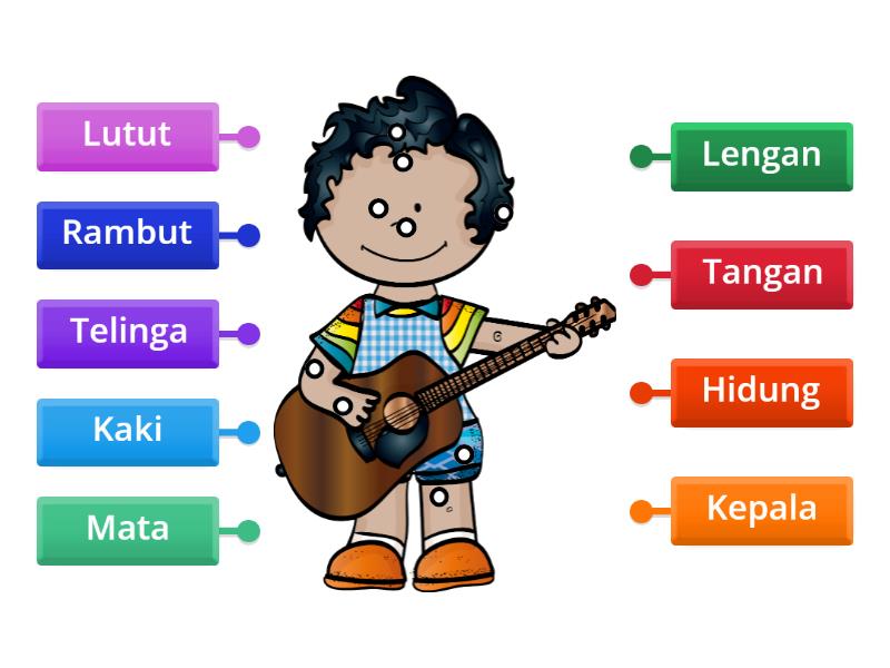 Bahagian-bahagian Badan - Labelled diagram