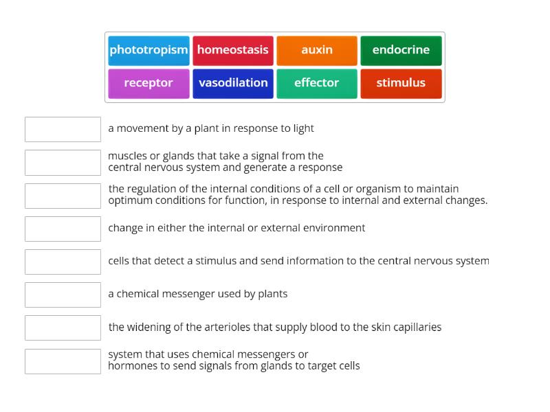 homeostasis - Match up