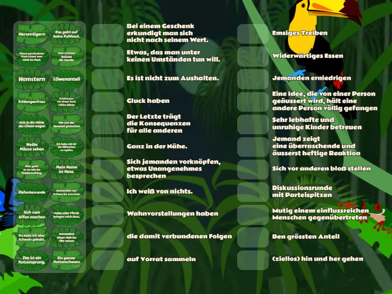 Redewendungen mit Tieren - Match up