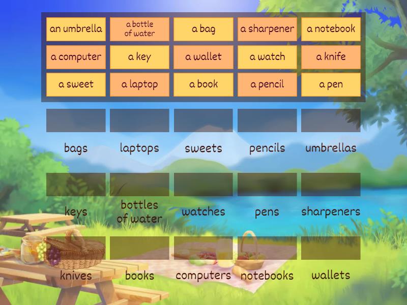 PLURAL NOUNS - Match up