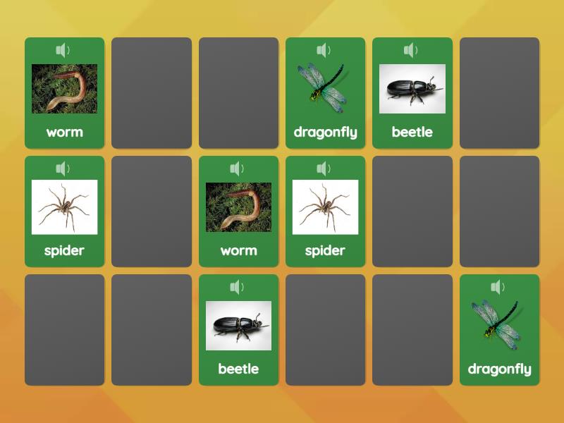 Insects memory game - Matching pairs