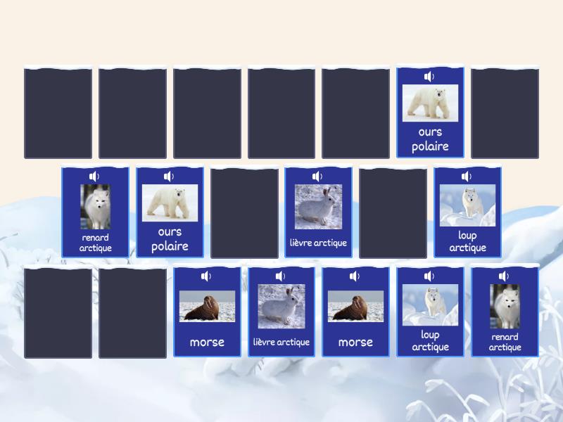 Animaux de l'arctique - Matching pairs