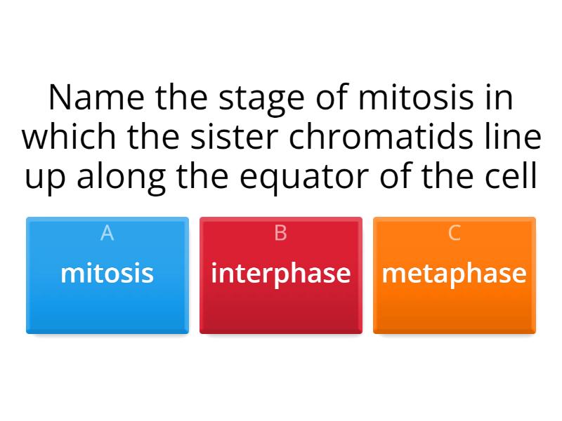 Cell Division - Quiz