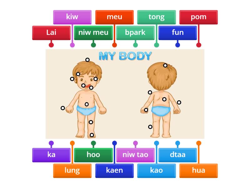 Body Parts in Thai edited by Toon - Labelled diagram