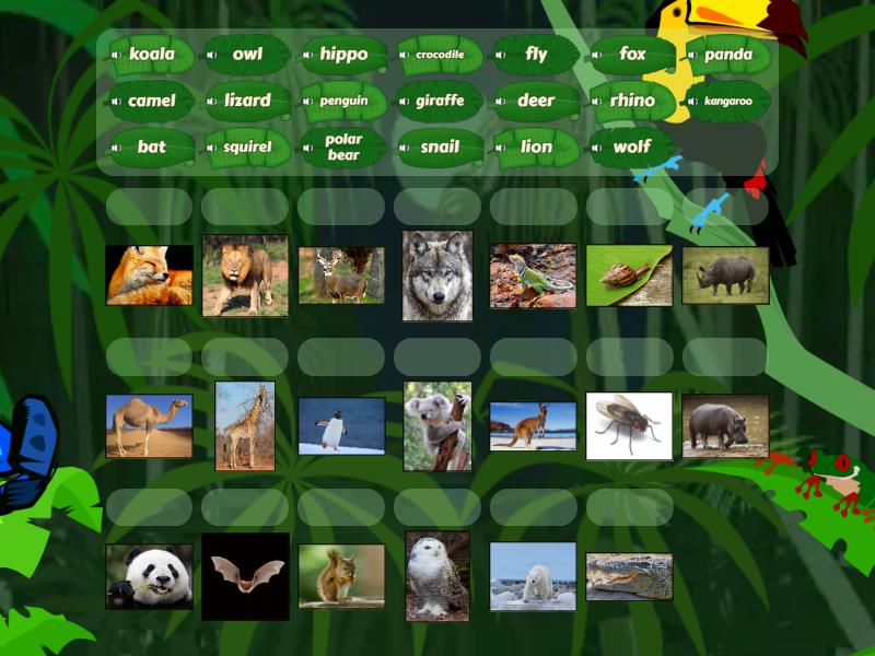 Wild animals - Match up