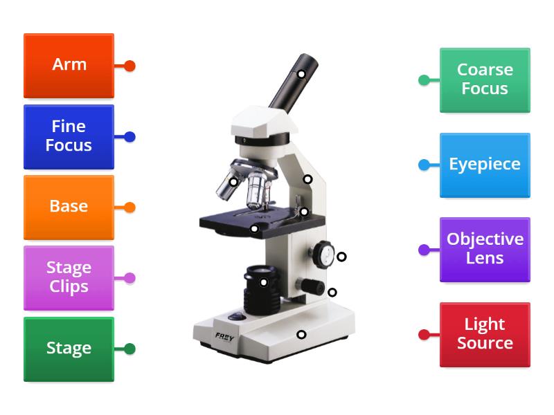 B1 Homework 1 Label the Light Microscope - Labelled diagram