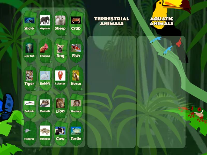 Classifying Animals According to their Habitat - Group sort