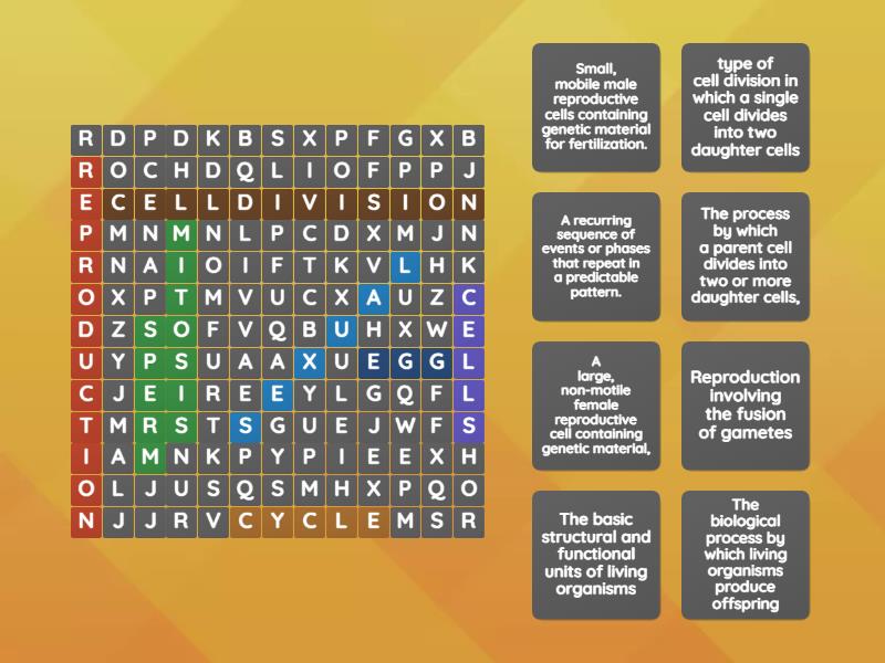 Cells - Wordsearch