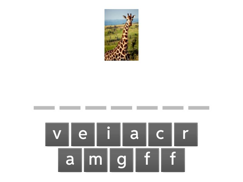 Spotlight 4 (animals, zoo) - Spell the word