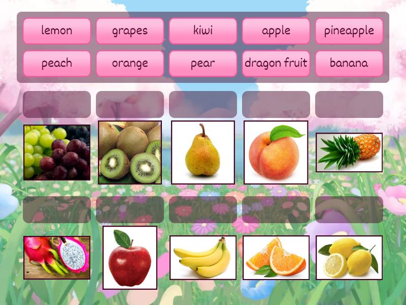 Fruits - Match up