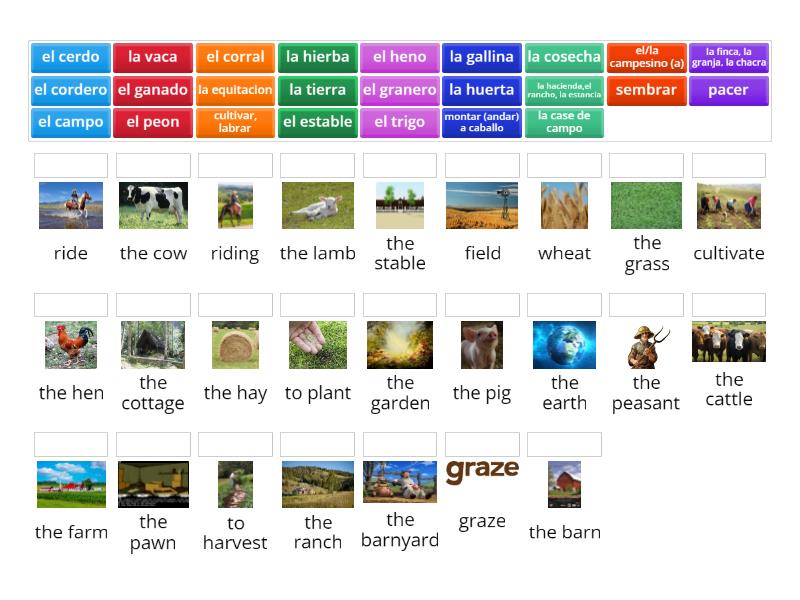 el campo vocabulario - Match up