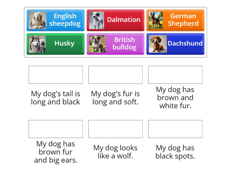 Dog matching - Match up