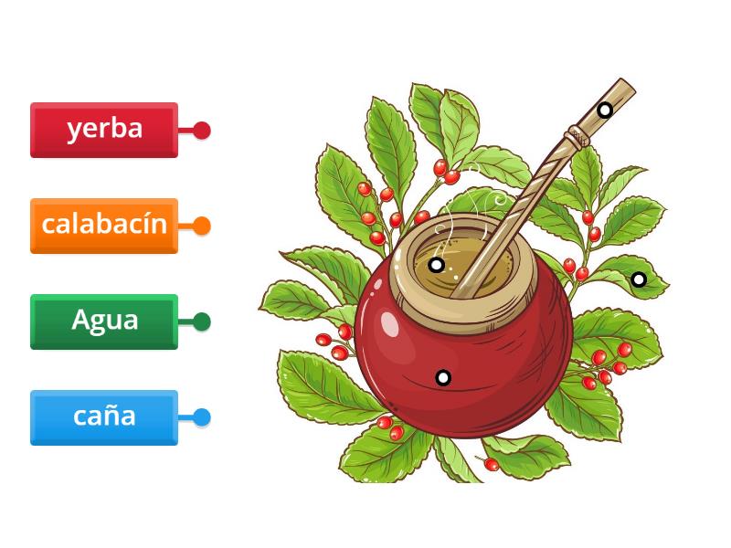 Partes del Mate - Labelled diagram