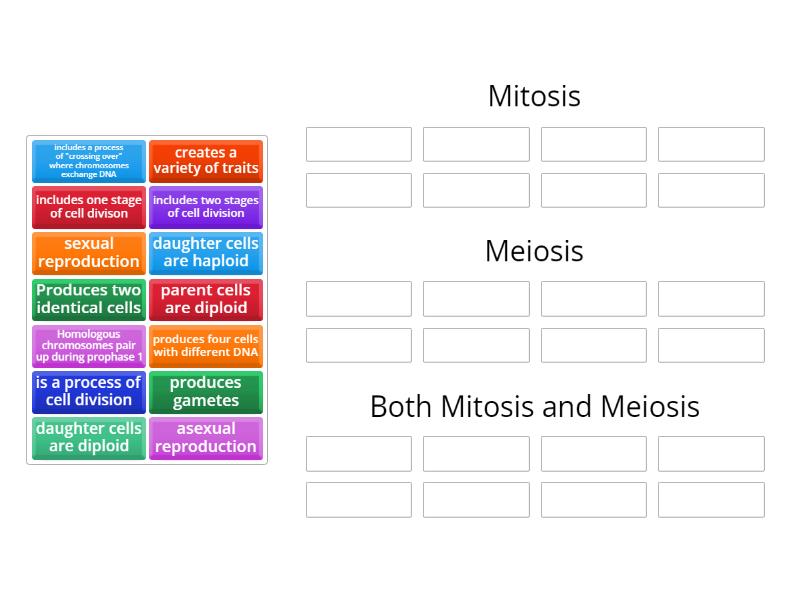 Mitosis vs. Meiosis - Group sort