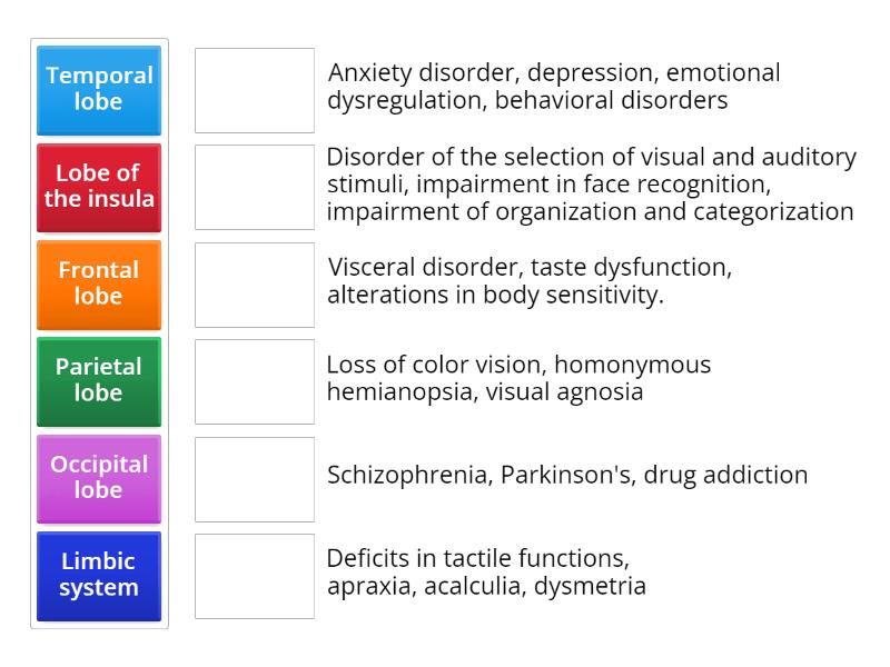 CORTICAL DISORDERS OF THE BRAIN LOBES - Permainan Pencocokan