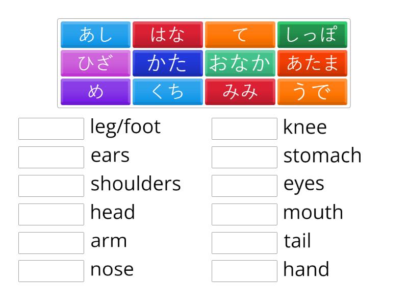 Japanese Body Parts 1 - Match up