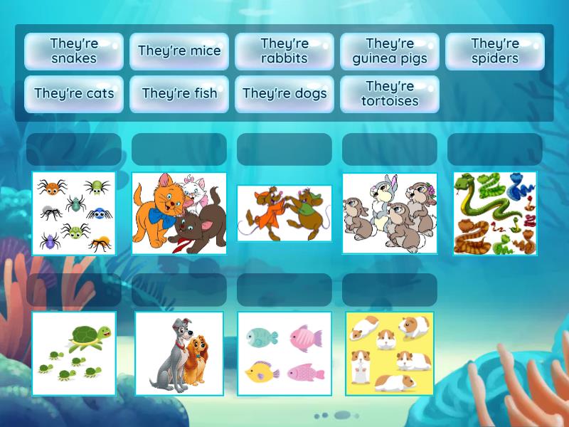 What are these ? - Match - 2ND GRADE - Match up