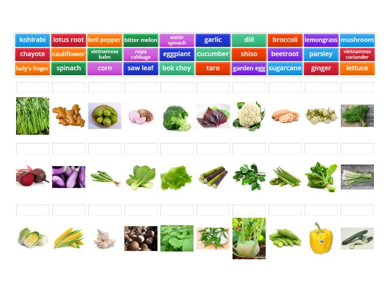 Vegetables - Match up