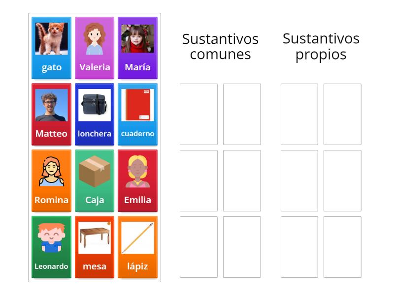 Juego de sustantivos comunes y propios - Group sort