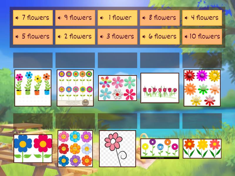 Counting 1-10 flowers - Match up