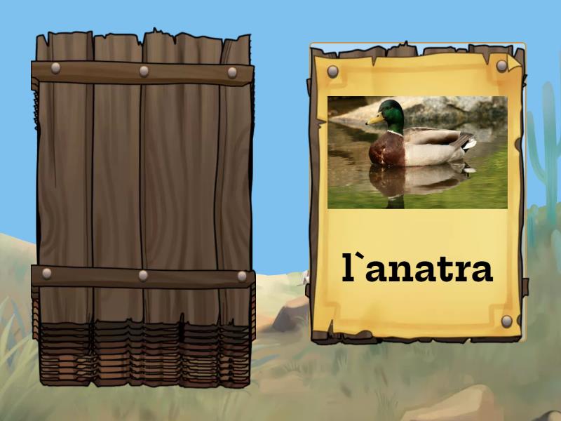 gli animali domestici - Random cards