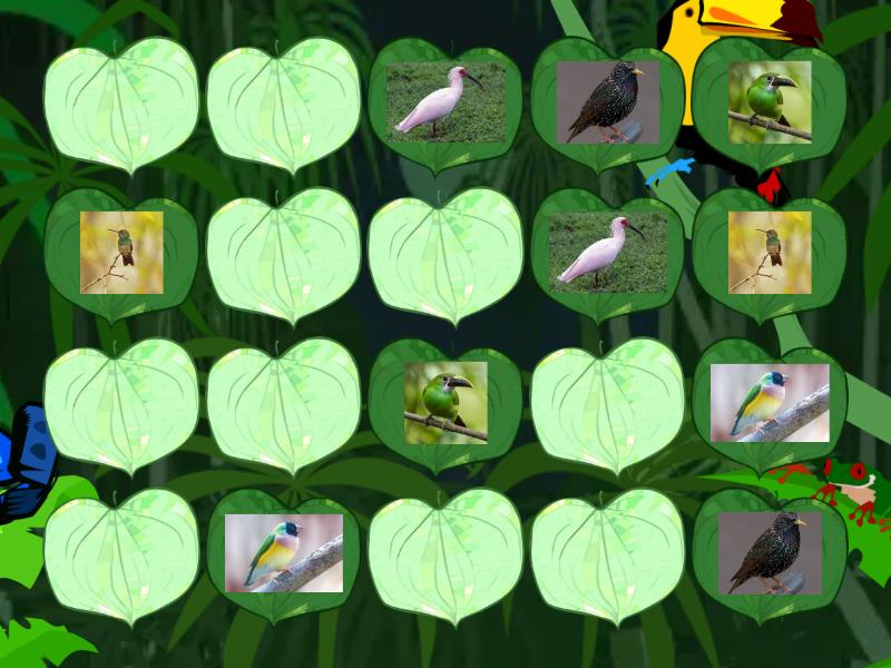 Memory game birds - Matching pairs