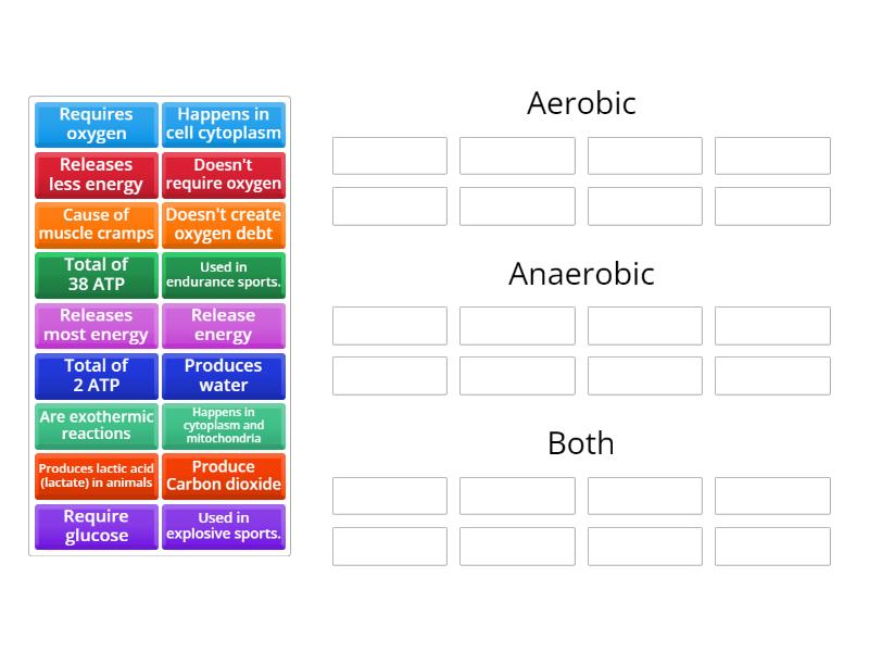 KS5 Aerobic and Anaerobic Respiration - Group sort