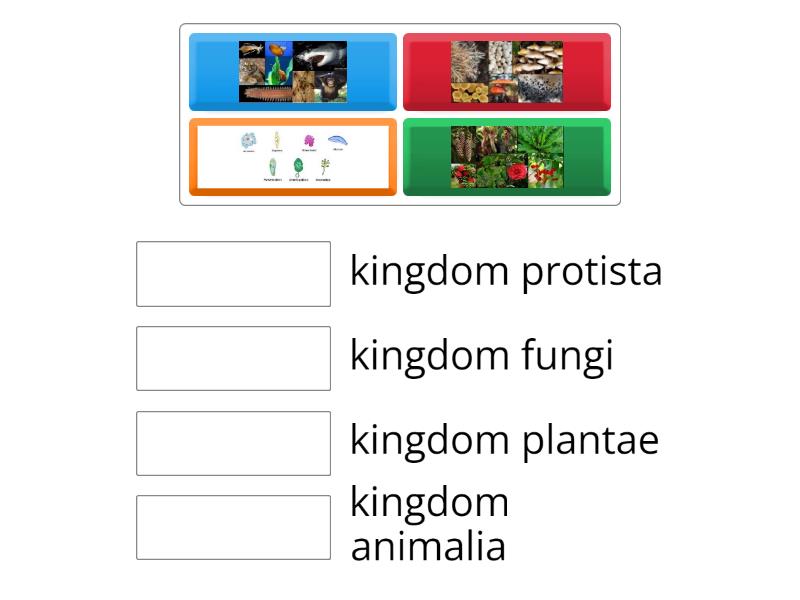 Recap (Module 12) - Match up